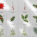 Christmas Clipart Red Poinsettia and Winter Greenery Png. Mistletoe ...