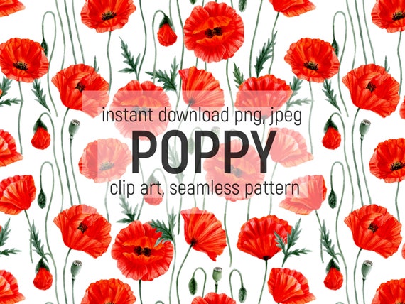 POPPY Watercolor Poppy Clip Art PNG. Hand Painted Poppy | Etsy Canada