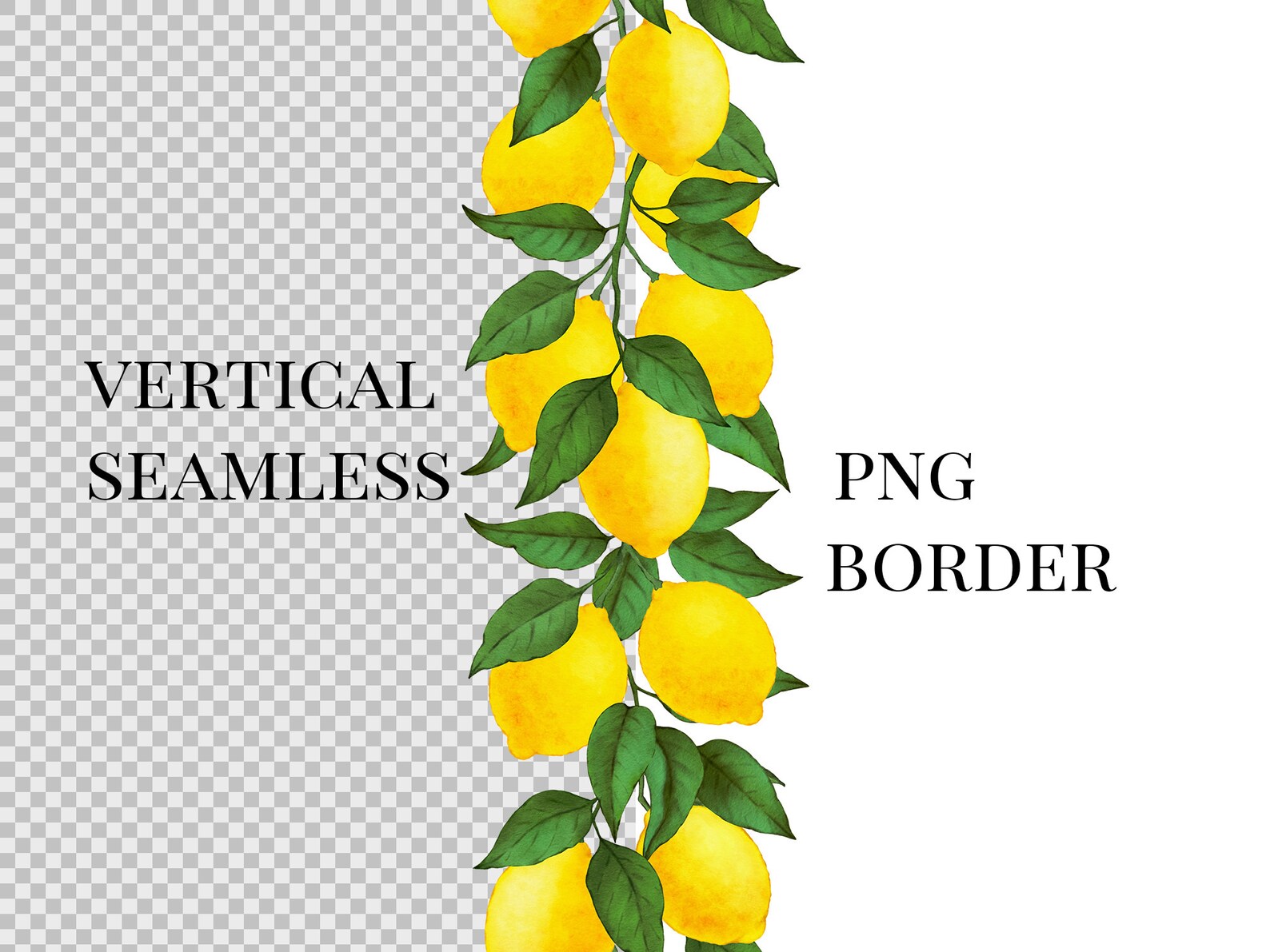 Watercolor Lemon Borders. Lemon PNG Border Digital Download. Lemon ...