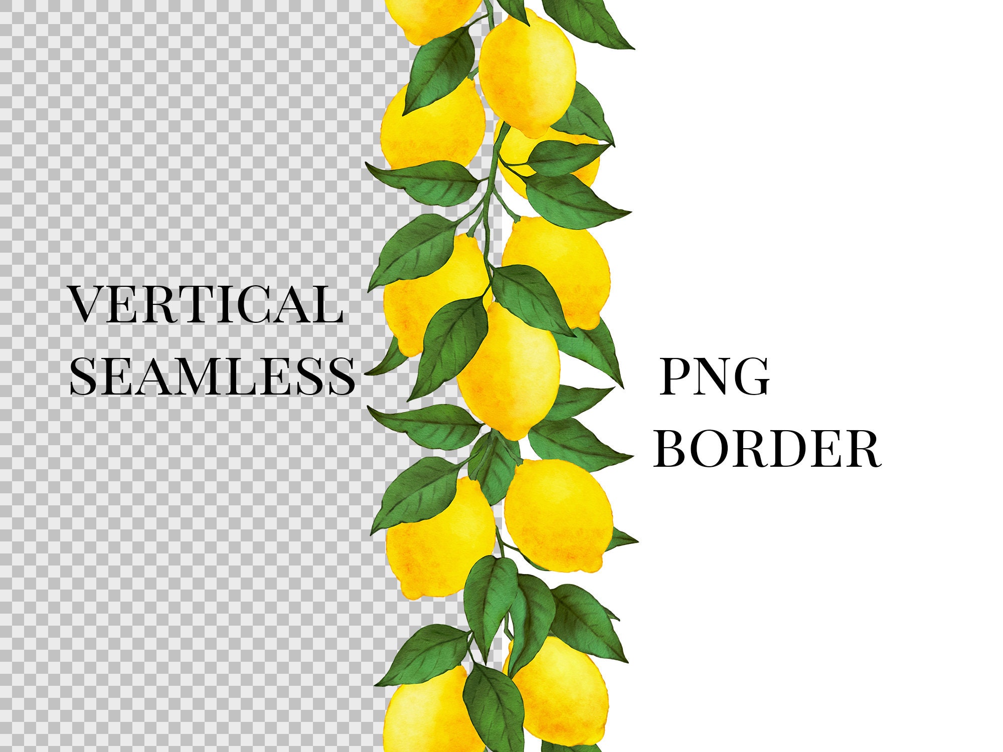 Watercolor Lemon Borders. Lemon PNG Border Digital Download. Lemon ...