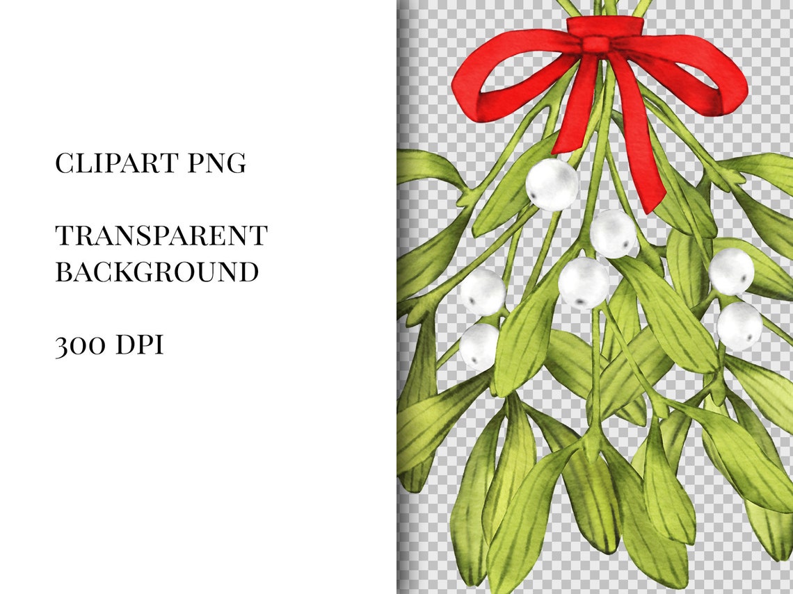 Mistletoe Clipart Watercolor Mistletoe Christmas Png Set. Mistletoe ...