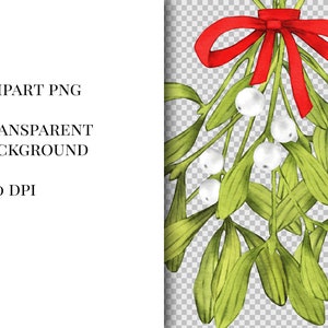 Mistletoe Clipart Watercolor Mistletoe Christmas Png Set. Mistletoe ...