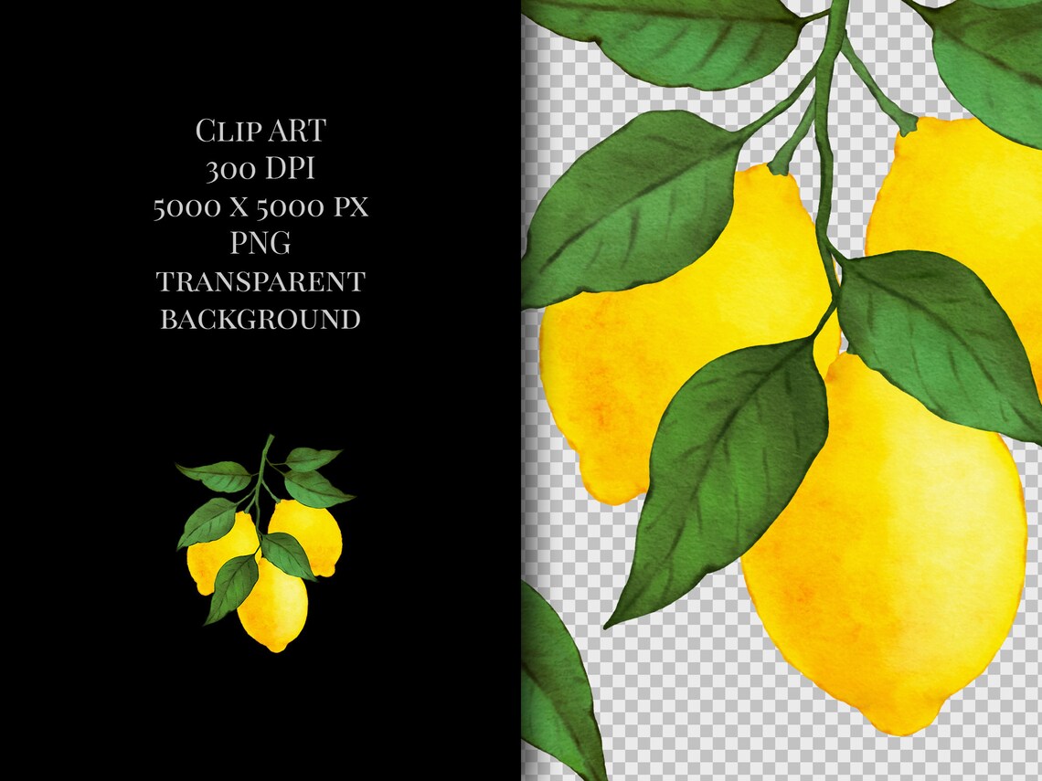 Watercolor Lemon PNG Clipart. Lemons Clipart Digital Watercolor Set ...