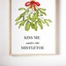 Mistletoe Clipart Watercolor Mistletoe Christmas Png Set. Mistletoe ...