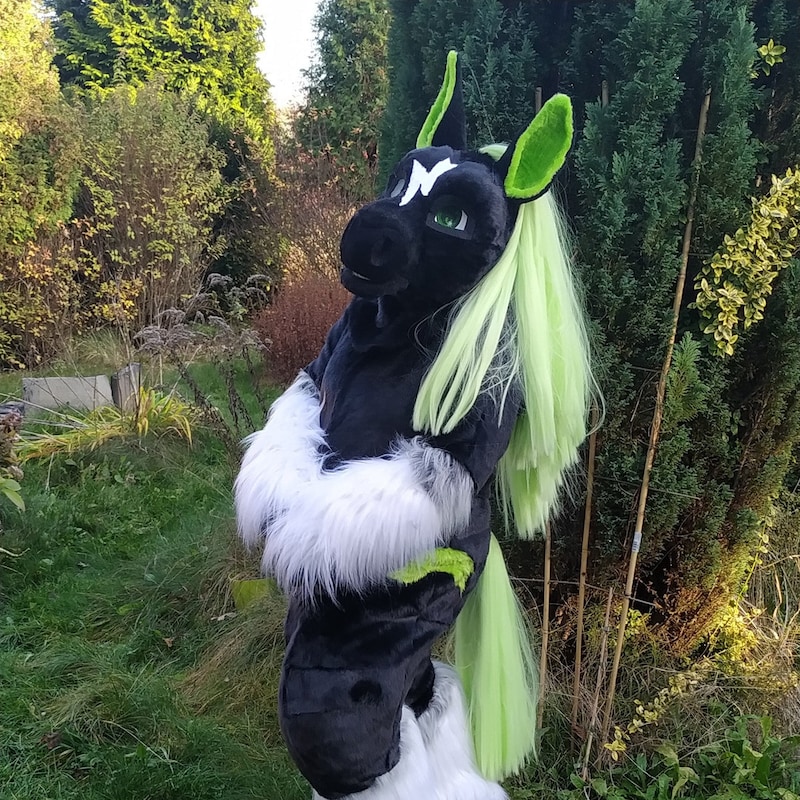 Digitigrade Fursuit - Etsy