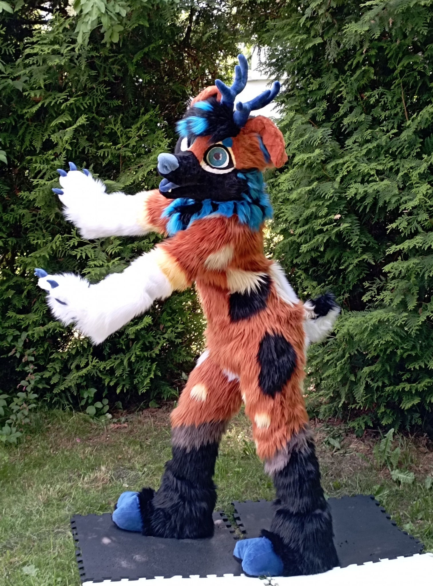 Fullsuit Plantigrade Slot - Etsy Canada