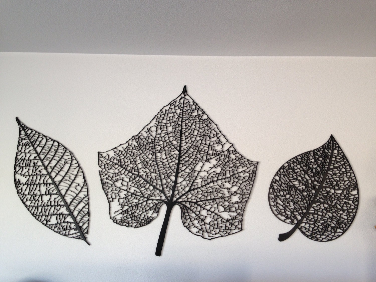 Large Leaf Skeleton - Etsy