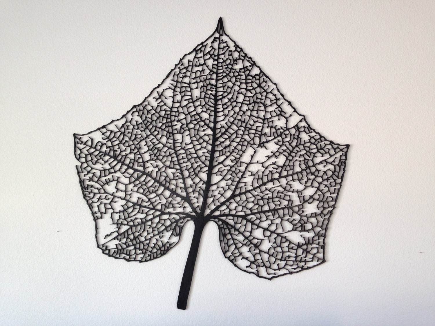 Large Leaf Skeleton - Etsy