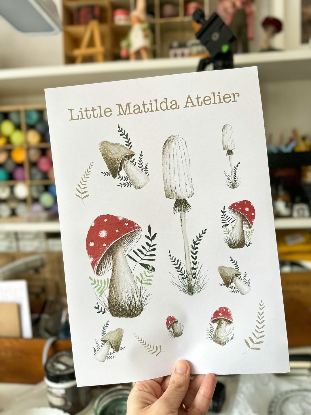 Toadstools Printable Sticker Sheet - Etsy