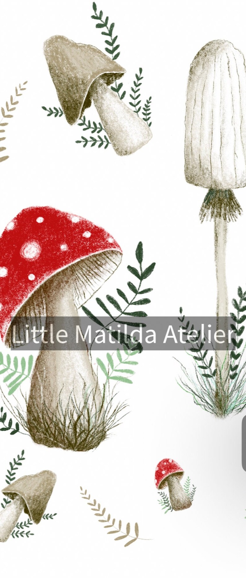 Toadstools Printable Sticker Sheet - Etsy