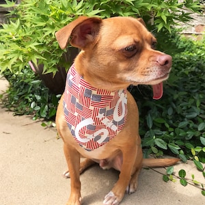 Texas Flag Dog Bandana Personalized Dog Bandana Tie on - Etsy
