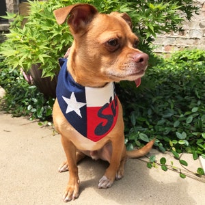 Texas Flag Dog Bandana Personalized Dog Bandana Tie on - Etsy