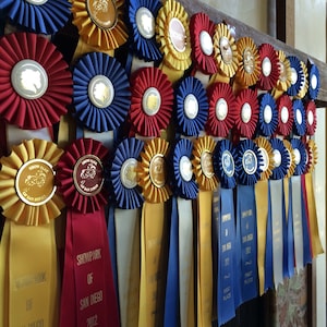 The Original Ribbon Rack - Etsy