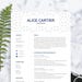 CV Template Alice Resume Format Cover Letter in English and French ...