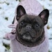 French Bulldog Wool Sweater and Hat, French Bulldog Grey Tweed Winter ...