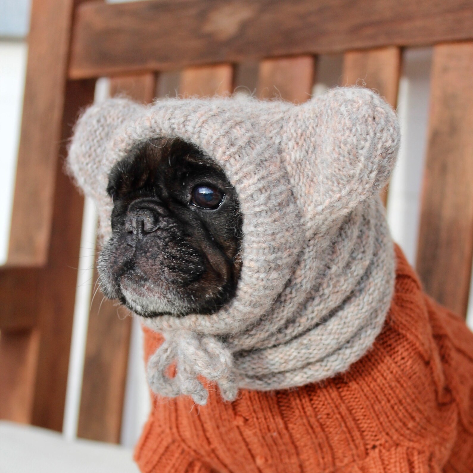 French Bulldog Wool Alpaca Earwarmers Hat , French Bulldog Teddy Snood ...