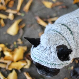 French Bulldog Wool Sweater and Hat, French Bulldog Grey Tweed Winter ...