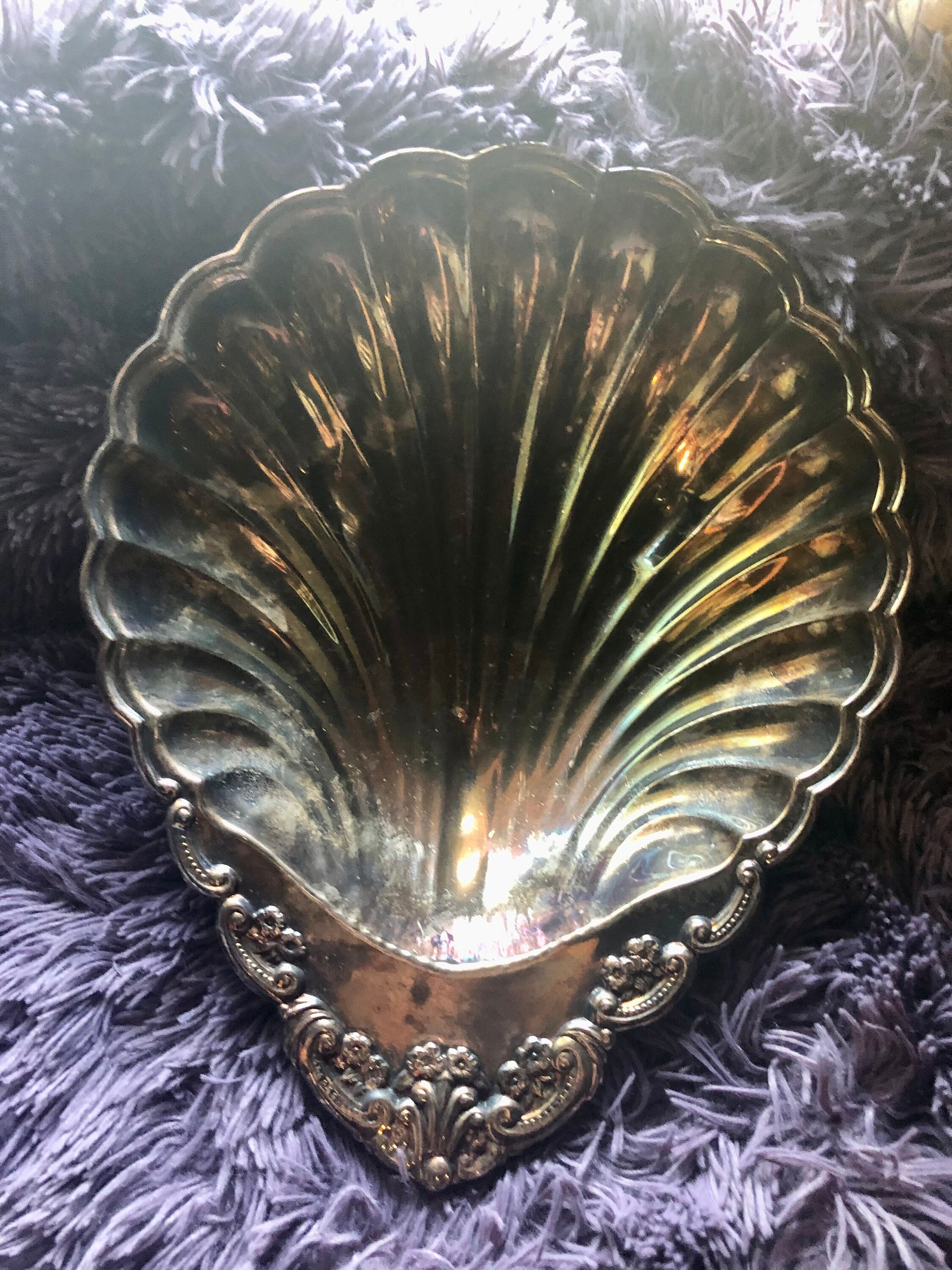 Gorgeous Shell French Style Boudoir Tray - Etsy