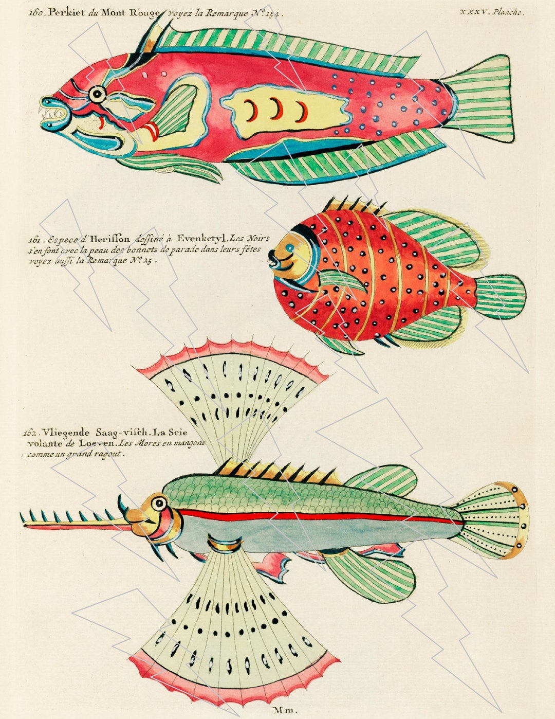 Group J / DIGITAL DOWNLOAD / 10 Pages of Louis Renard's Fantastical ...