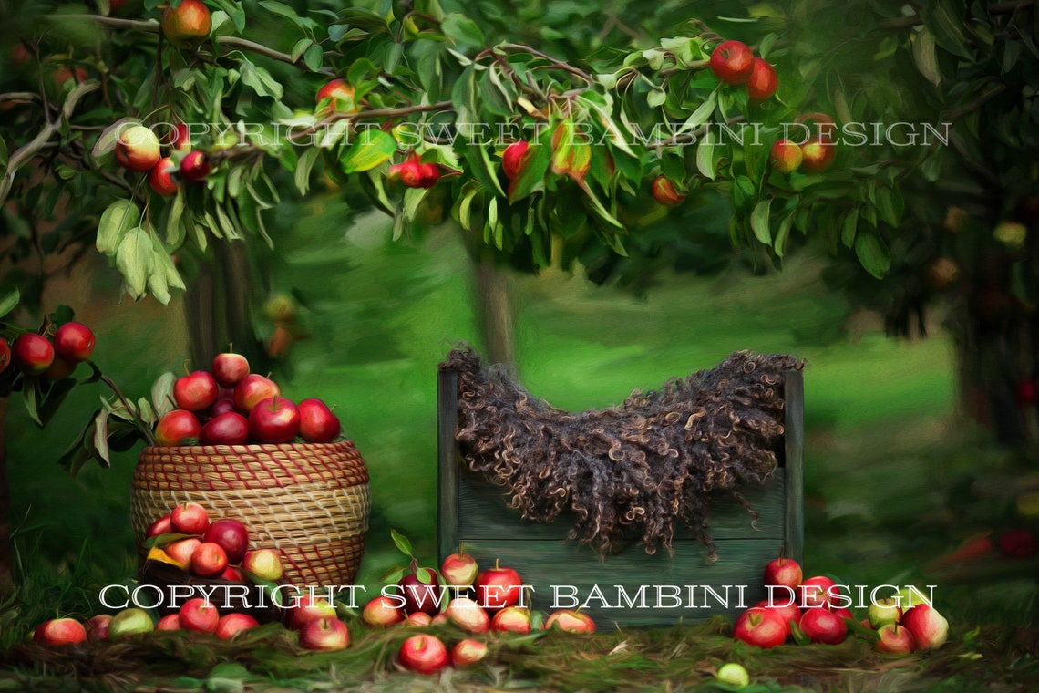 Apple Tree Newborn Digital Backdrop Painted Effect Apple - Etsy