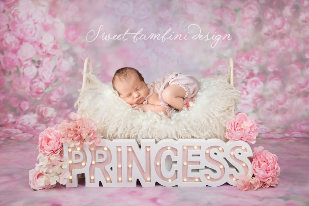 Newborn Photography Digital Backdrop Princess Bed Instant Download - Etsy