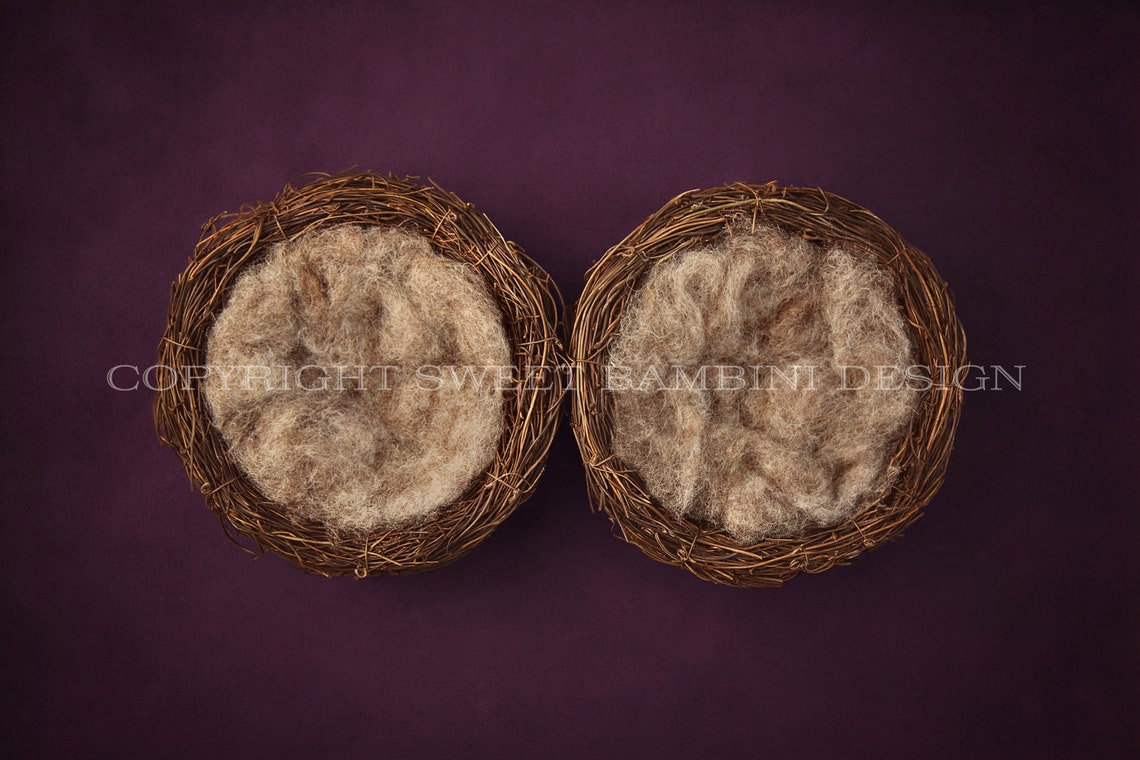 Twins Digital Backdrop Newborn Photography Digital Backdrop | Etsy