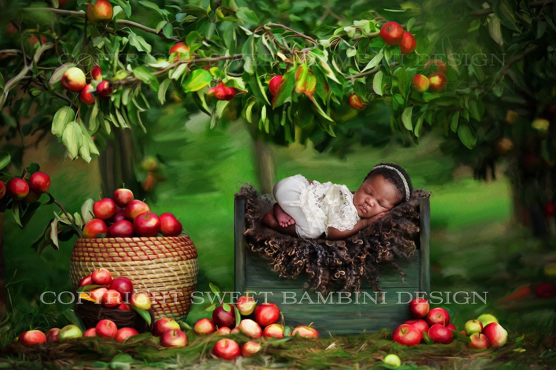 Apple Tree Newborn Digital Backdrop - Painted Effect Apple Tree Digital ...