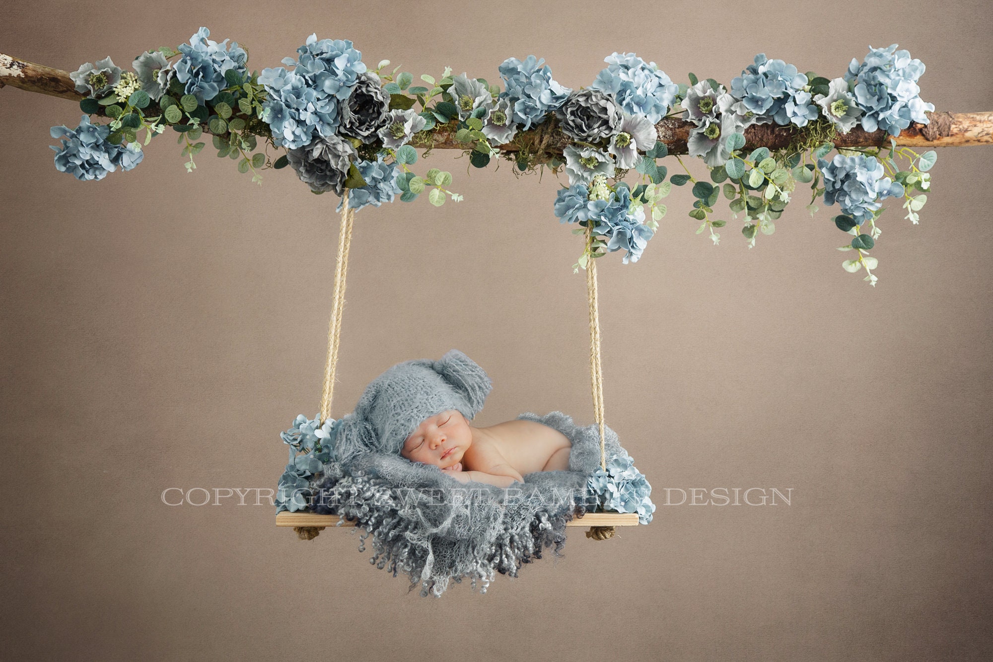 Newborn Digital Backdrop Floral Swing Decorated With Blue - Etsy