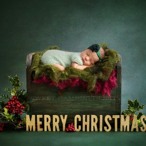 Christmas Newborn Photography Digital Backdrop for Boys or Girls ...