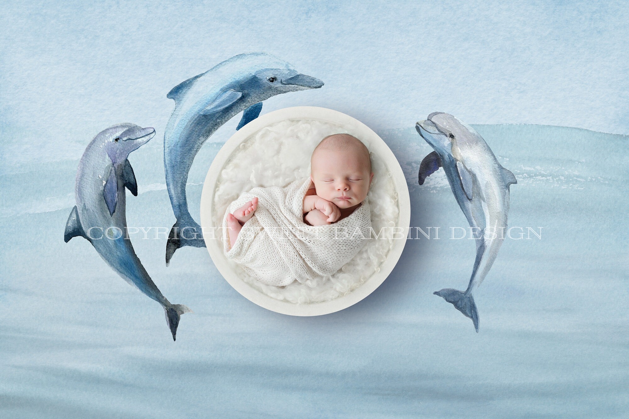 Newborn Baby Dolphins