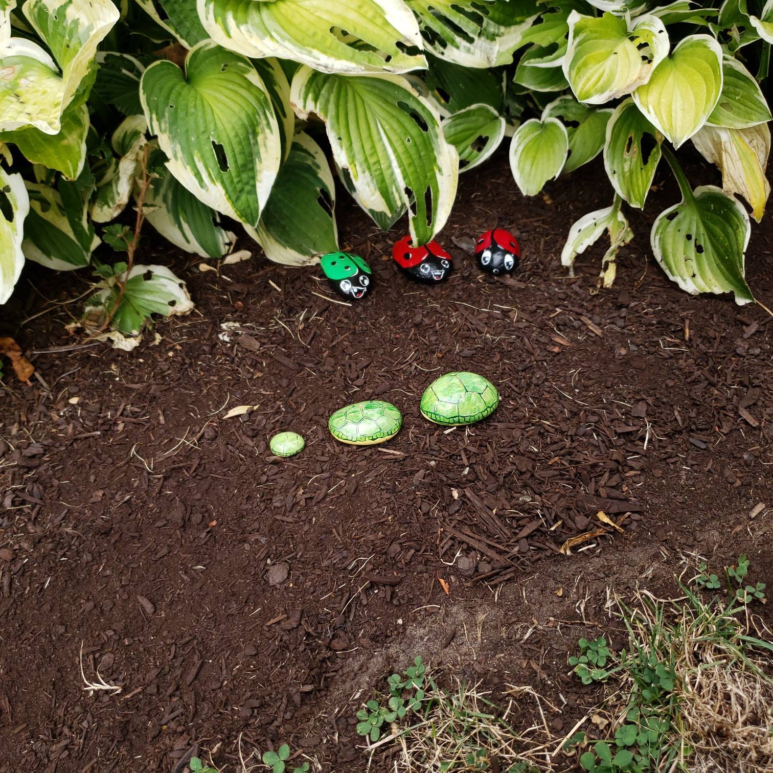 Turtle Shell Hand Painted Rocks for Home Decoration or to Add Some Life ...
