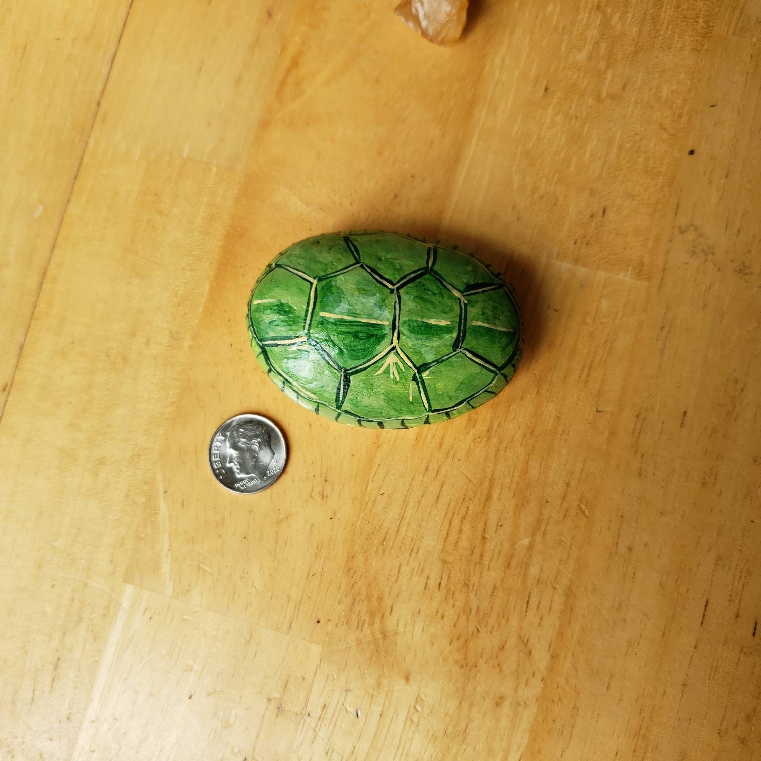 Turtle Shell Hand Painted Rocks for Home Decoration or to Add Some Life ...