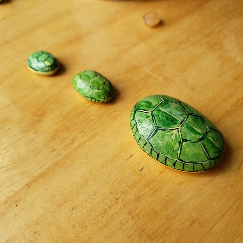 Painted Rock Turtle - Etsy