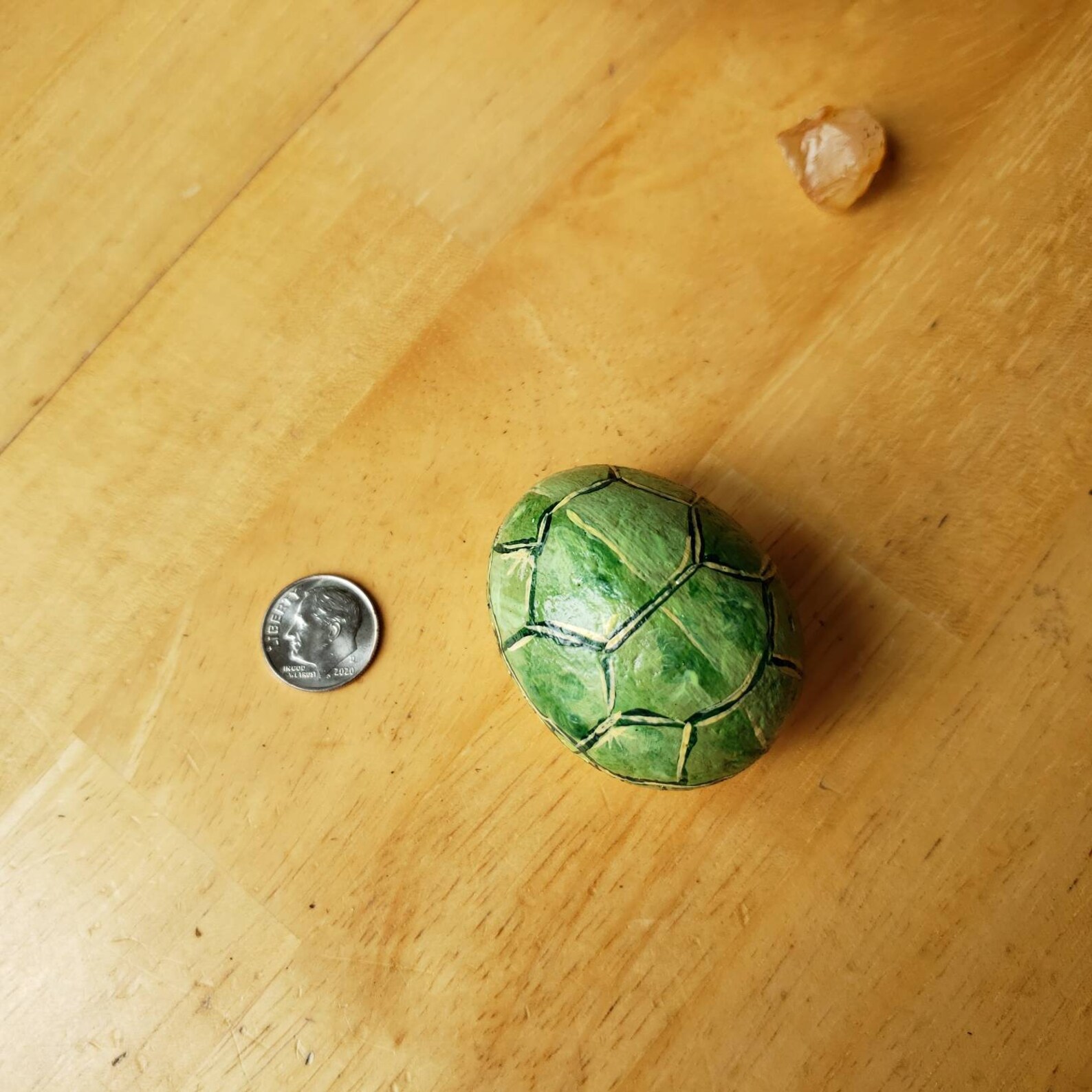 Turtle Shell Hand Painted Rocks for Home Decoration or to Add Some Life ...