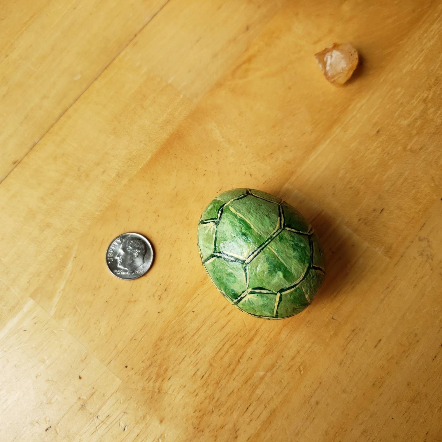 Turtle Shell Hand Painted Rocks for Home Decoration or to Add Some Life ...