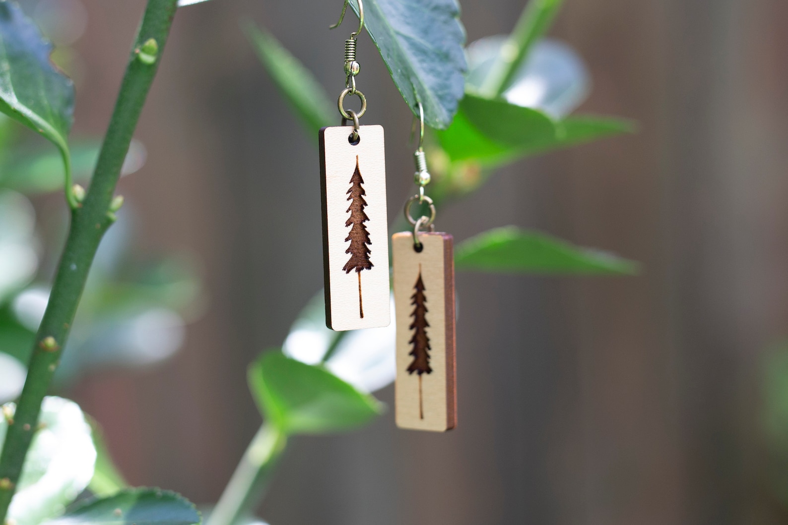 Tree Earrings/wooden Earrings/laser Cut Earrings/ Statement Earrings - Etsy