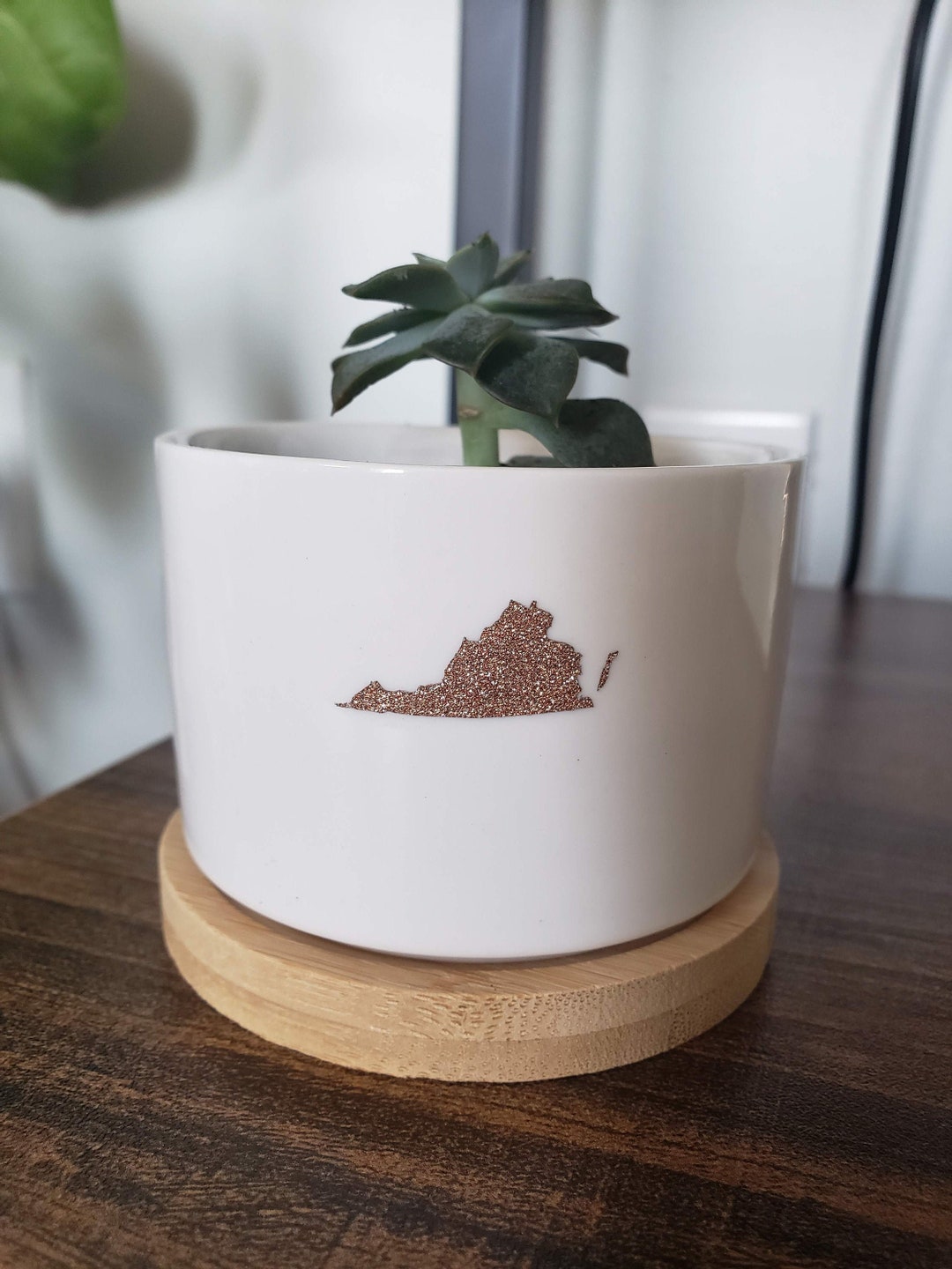 State Planter - Etsy