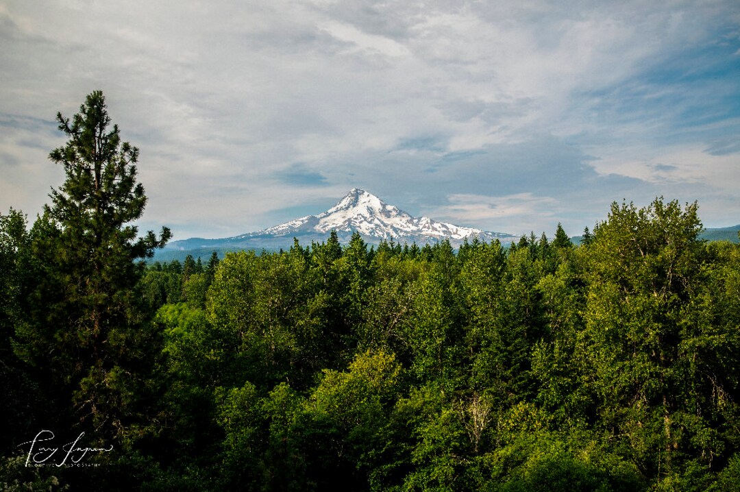 Photo Print 16x24, Mt Baker in Oregon, Mountain Landscape Photo Art ...
