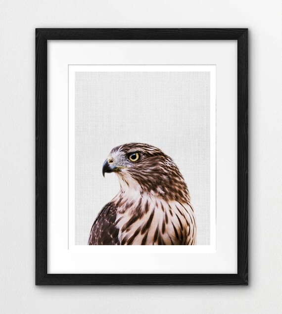 Wall Décor Printable Wall Art Poster Hawk Wall Art Large Hawk Print ...