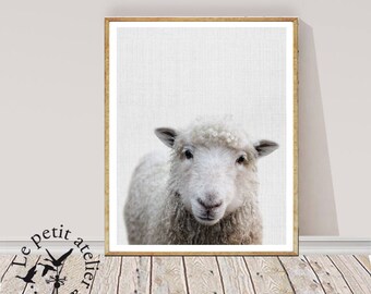 Sheep poster | Etsy