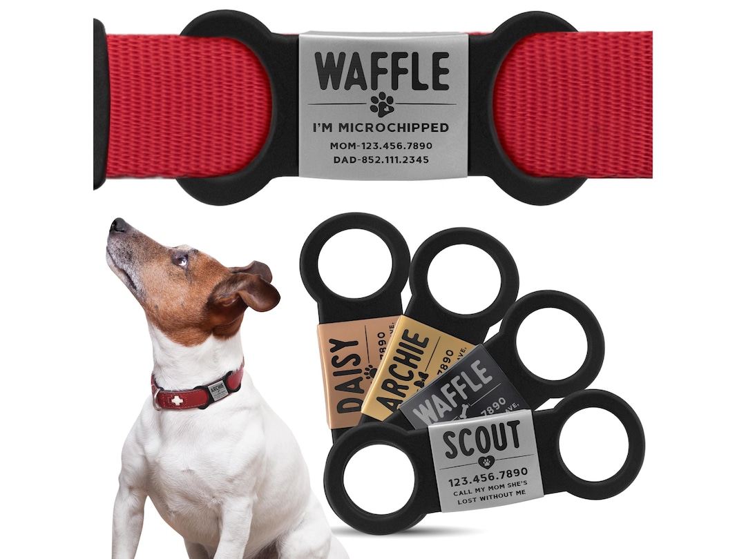 Slide on Dog Tags for Dogs, Dog Tadog Id Tag, Personalized Dog ID Tag ...