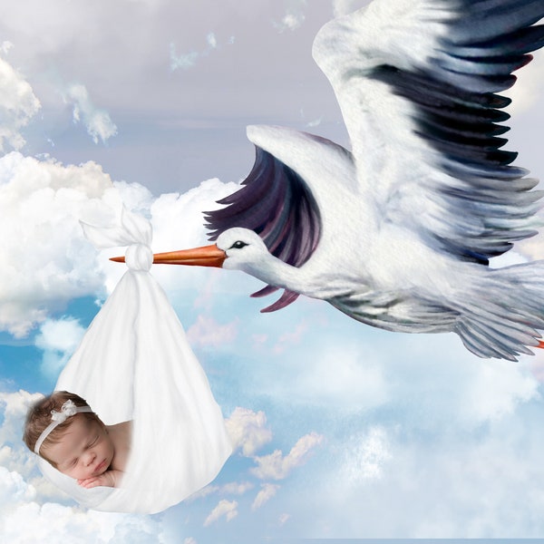 Stork Digital - Etsy