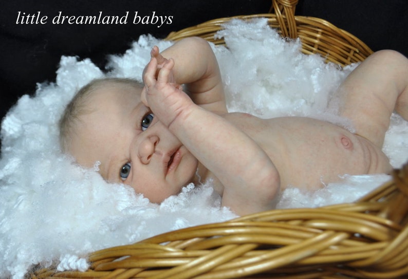 CUSTOM REBORN ~ Victoria/victor by Sheila Michael ~ Full Body Doll ~ 6 ...