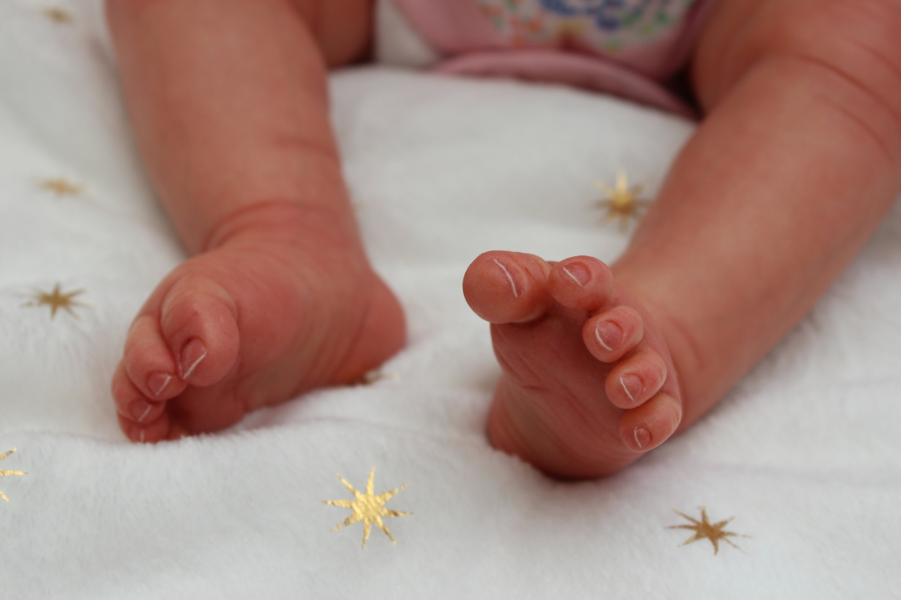 CUSTOM REBORN BABY Raven by Ping Lau 6 Month Layaway - Etsy