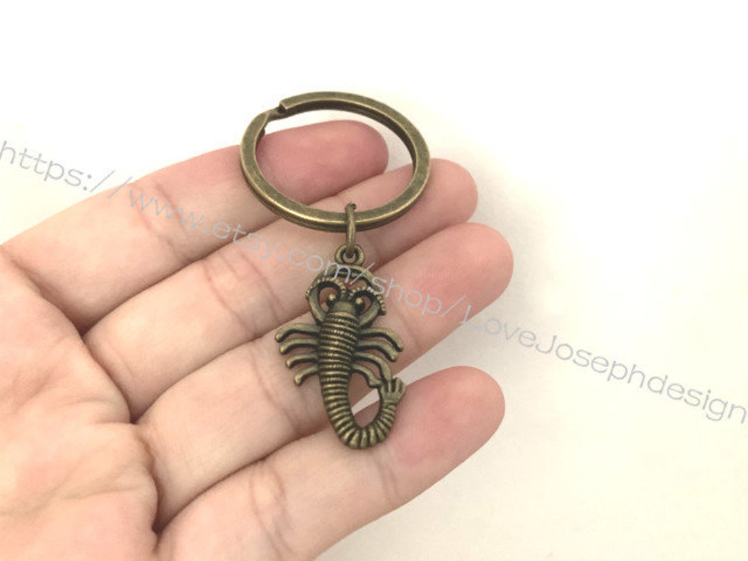Scorpion Keychain, Scorpion Gifts Key Ring - Etsy