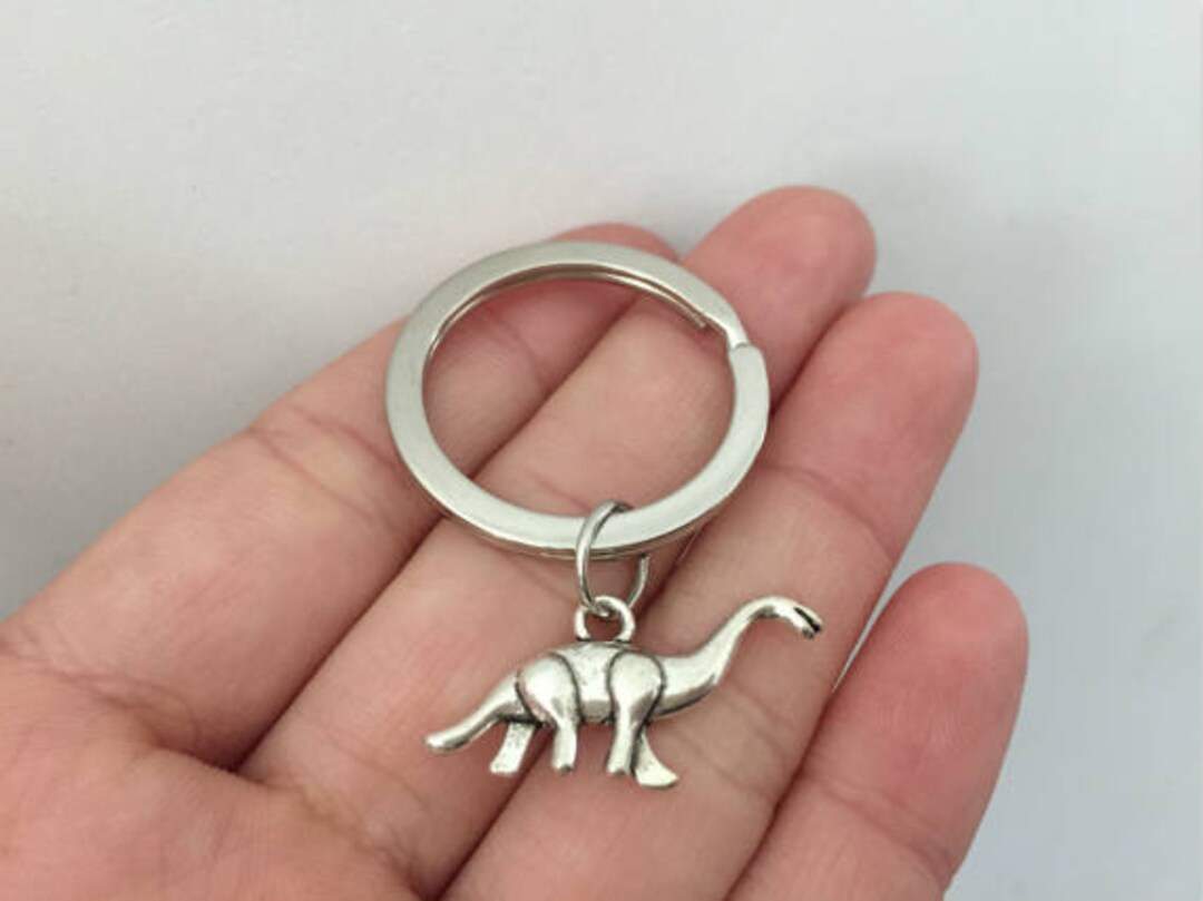 Dinosaur Keychain, Dinosaur Gifts Key Ring - Etsy