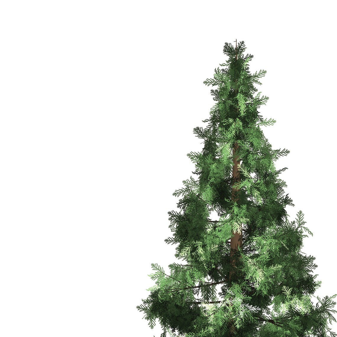 Christmas Tree Print - Christmas Tree Decorations - Christmas Wall ...