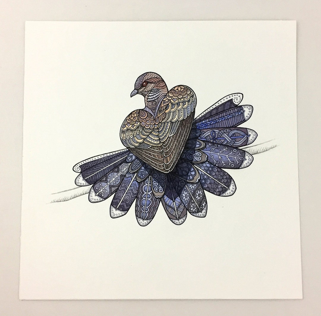 Turtle Dove Painting - Etsy