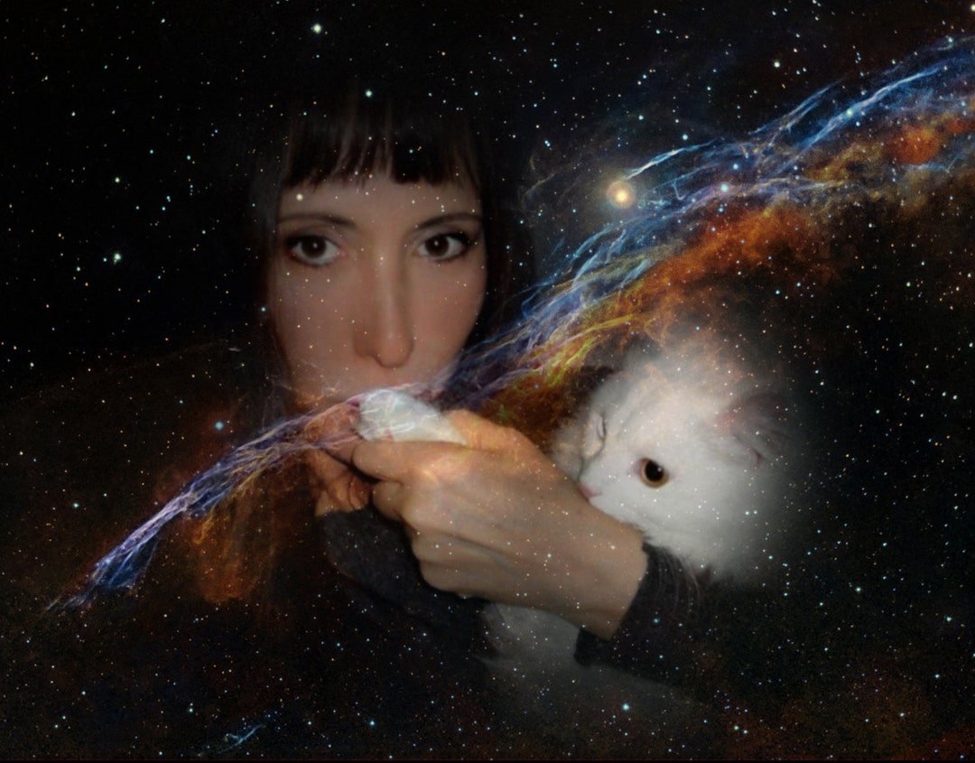 A Cosmos Portrait - Etsy