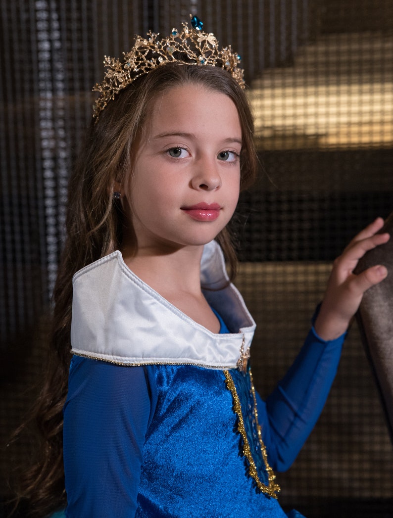 Aurora Princess Aurora Blue Dress Princess Dress Aurora - Etsy